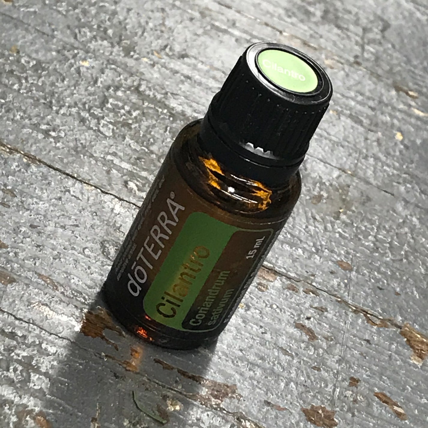 doTerra Essential Oils Cilantro Coriandrum sativum 15mL Bottle ...