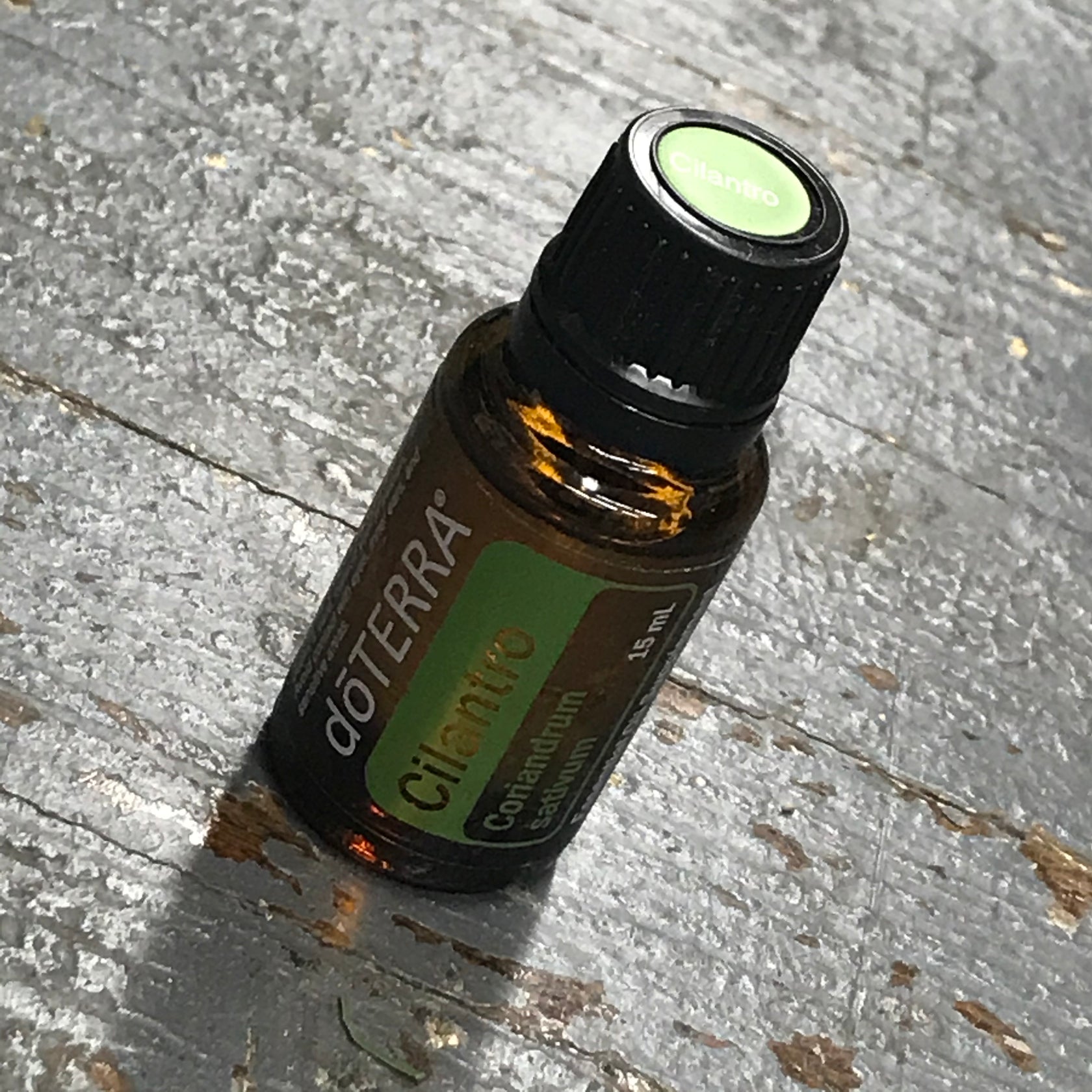 doTerra Essential Oils Cilantro Coriandrum sativum 15mL Bottle ...